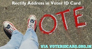 Your Guide To Election Card