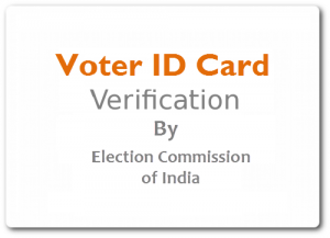 Voter ID Verification - How is it done?