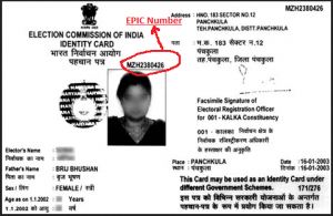 How to conduct a Search by Voter EPIC Number?
